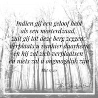 Wat is geloof als een mosterdzaad? | Salt of the earth