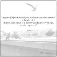 De genade van God en het heiligingsproces