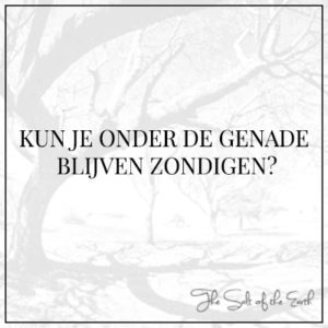 Wat Betekent Genade? | Salt of the earth