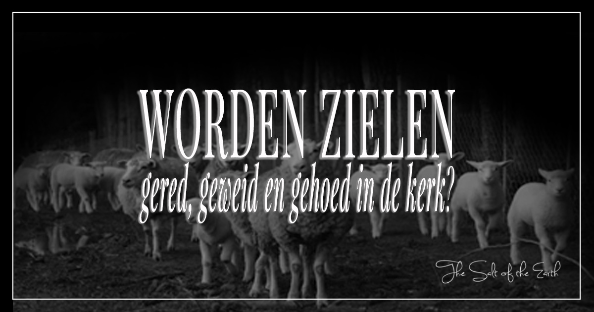 Worden zielen gered, geweid en gehoed in de kerk?