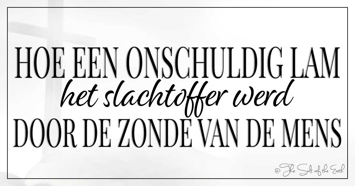 Hoe een onschuldig Lam het slachtoffer werd door de zonde van de mens